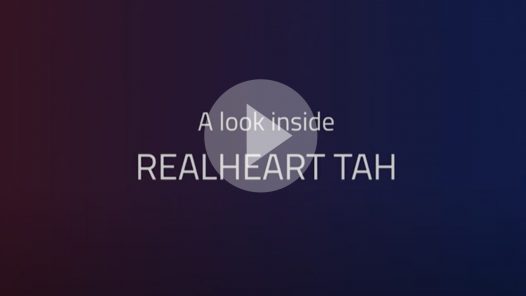 The Artificial Heart - Realheart